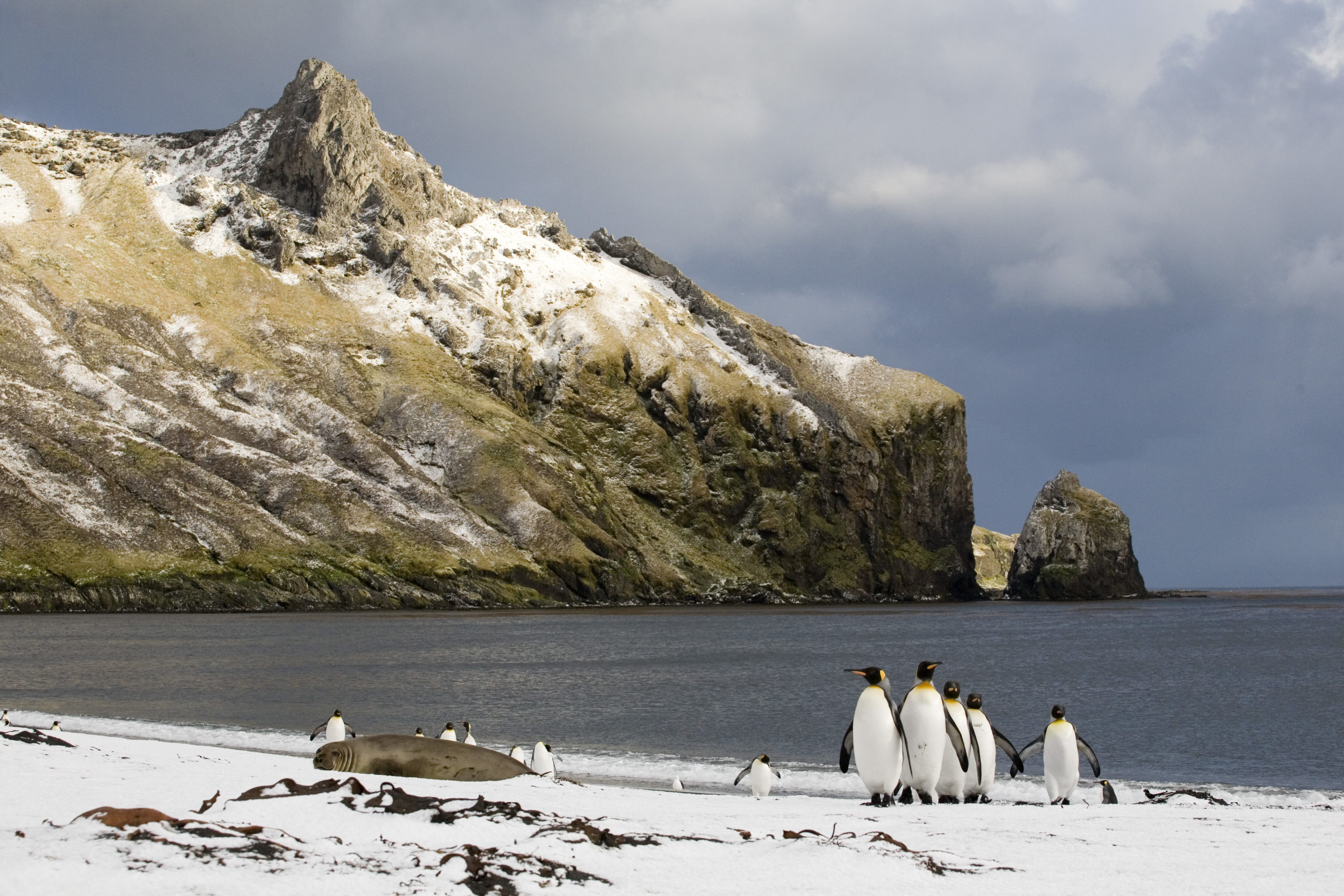 Podcast : Les TAAF, la France des confins | Géopolis